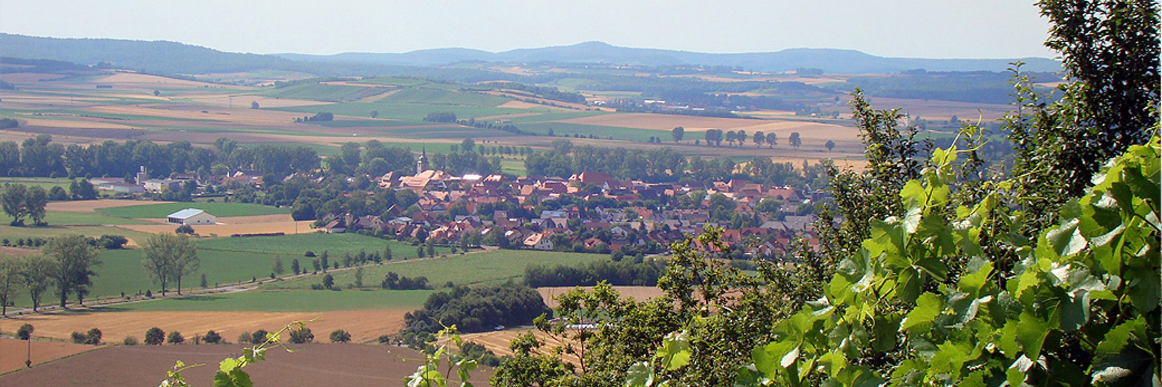Markt Ipsheim – Weinort im Aischtal | Tour S18 | VGN