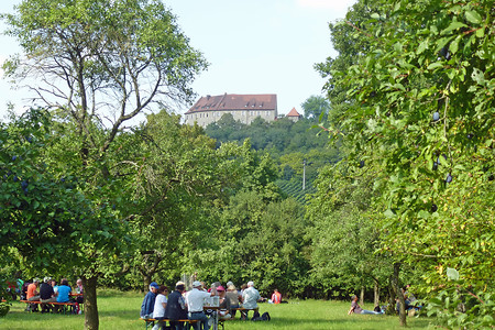 Markt Ipsheim – Weinort im Aischtal | Tour S18 | VGN